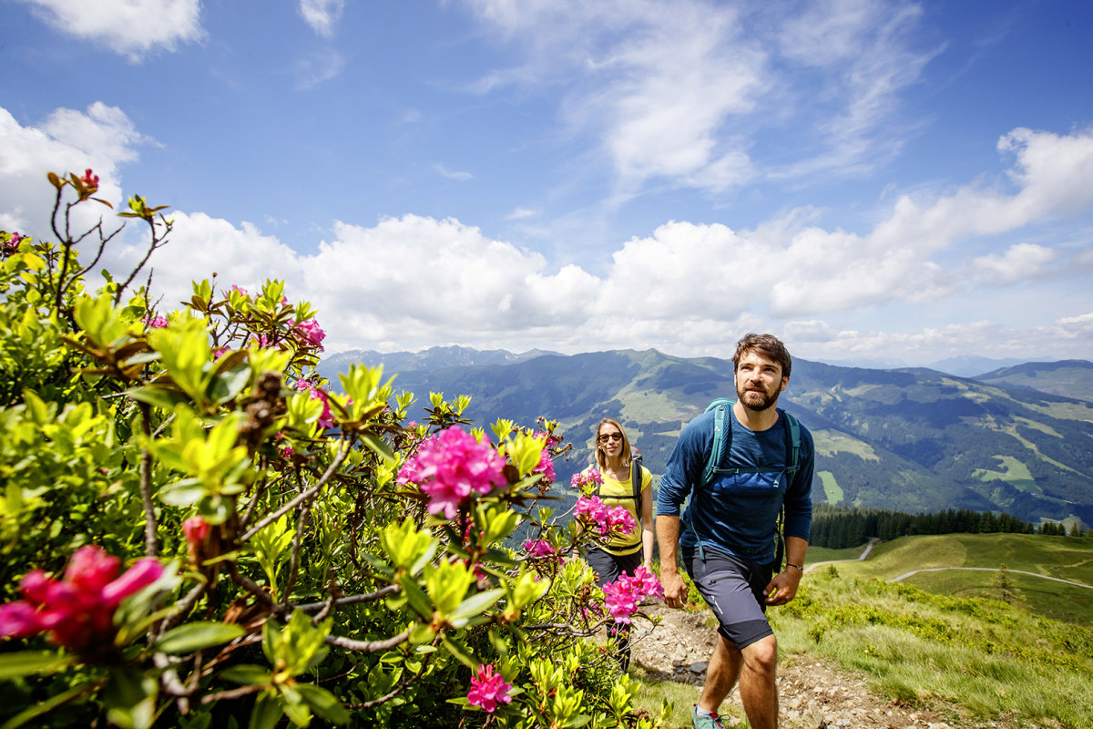 Touren aus ALPIN 05/23 | Toureninfo, GPS-Track | alpin.de