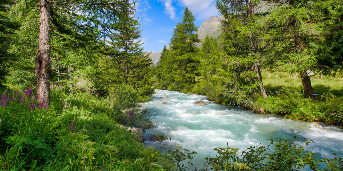Alpenflüsse | Lebensadern aus den Alpen | alpin.de