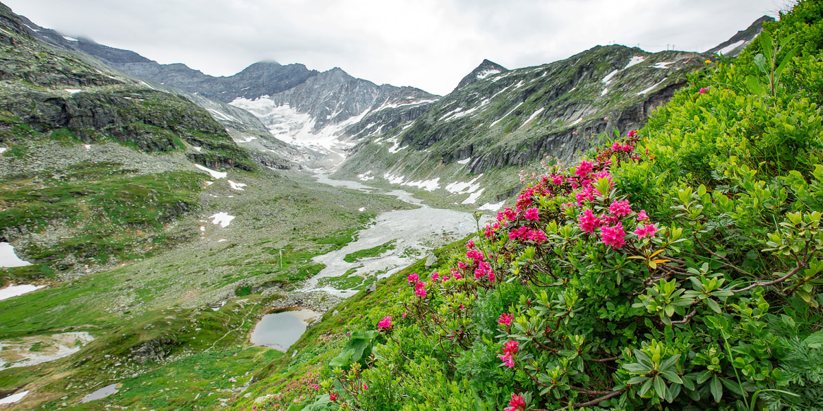 Tirol: Sieben tote Bergsteiger in acht Tagen
