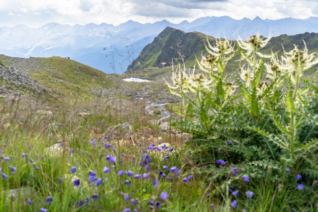 Wanderung von der Darmstädter Hütte nach Pettneu im Verwall