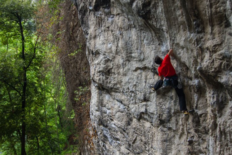 Alex Honnold: "Du musst dafür sorgen, dass du stirbst, wenn